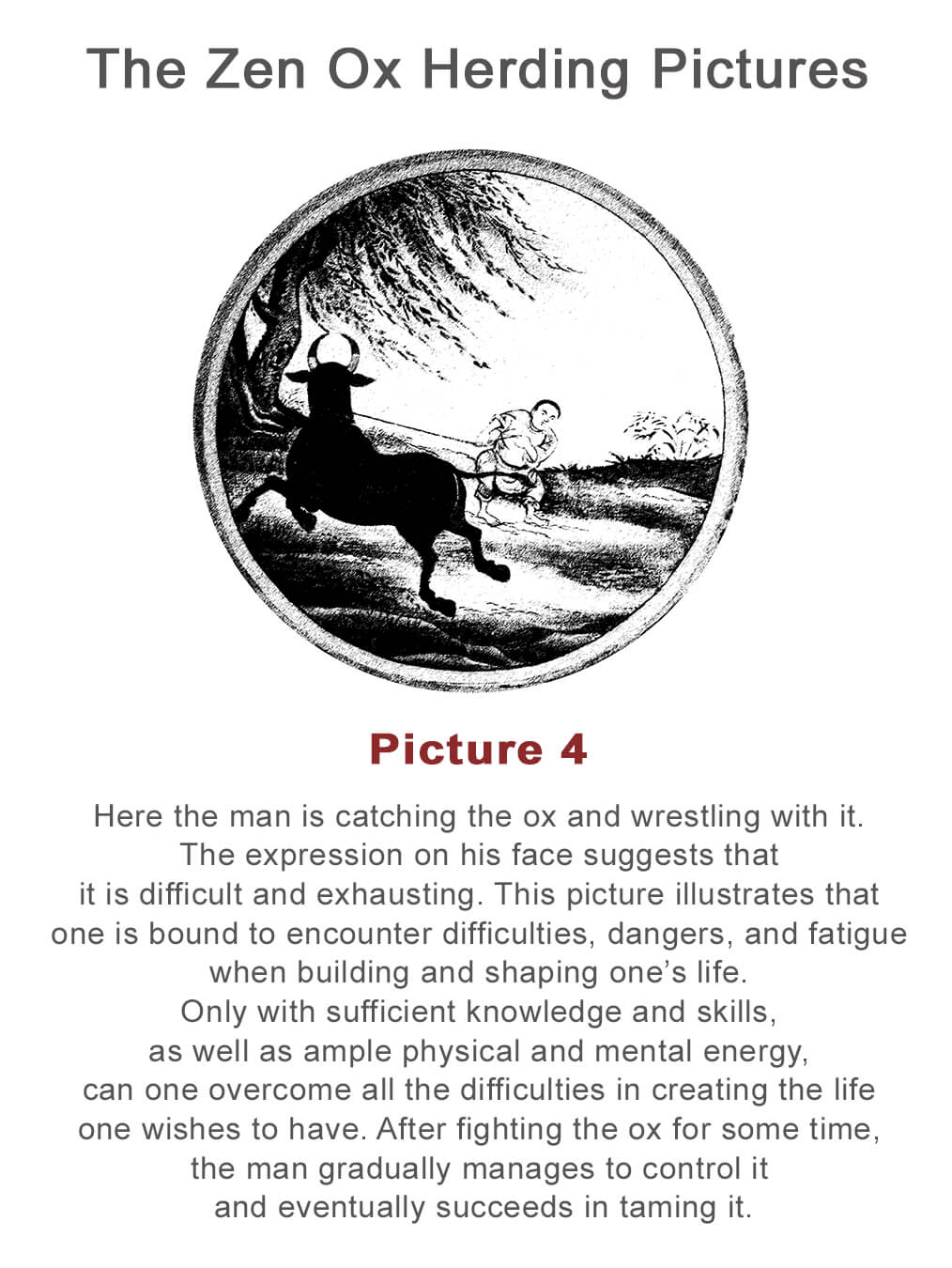 The Zen Ox Herding Pictures #4 - หอจดหมายเหตุพุทธทาส อินทปัญโญ